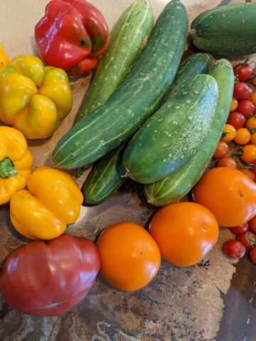 Landscaping Around Exposed Tree Roots - 5 Easy Ideas