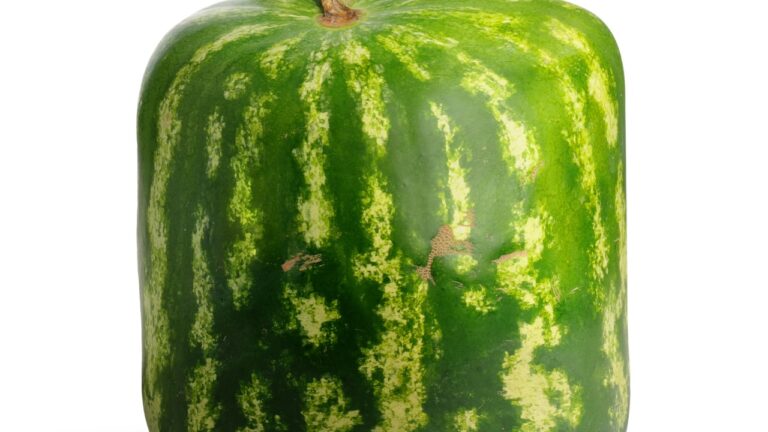 Grow A Cube-Shaped Watermelon With This Fun Garden Hack