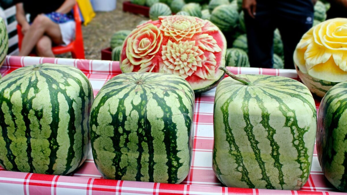 Grow A Cube-Shaped Watermelon With This Fun Garden Hack