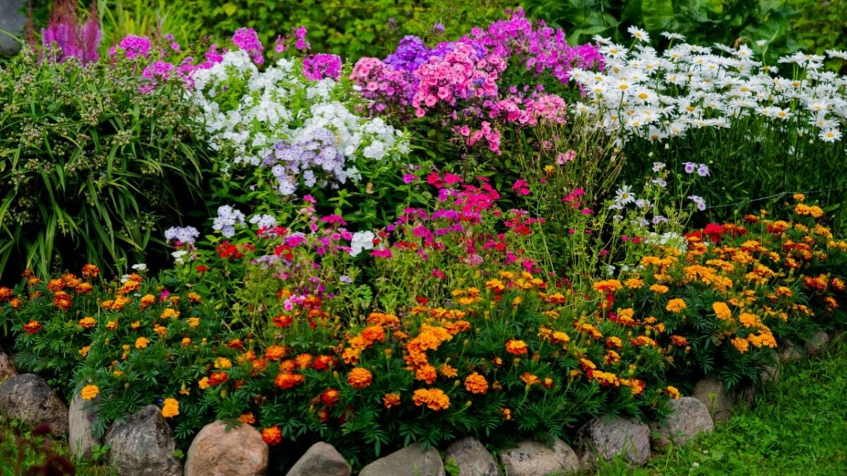 18 Landscaping Ideas To Make Your Driveway Pop