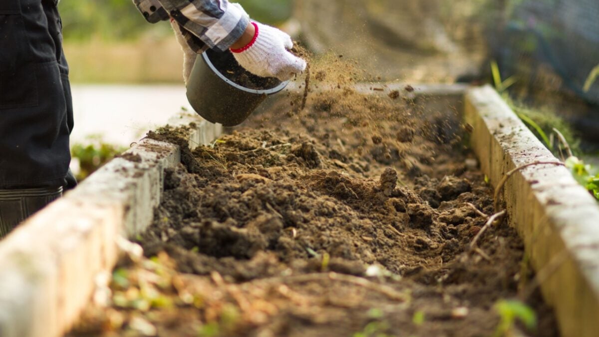 The Best Soil Mix For Tomatoes To Get Tasty Harvests Fast