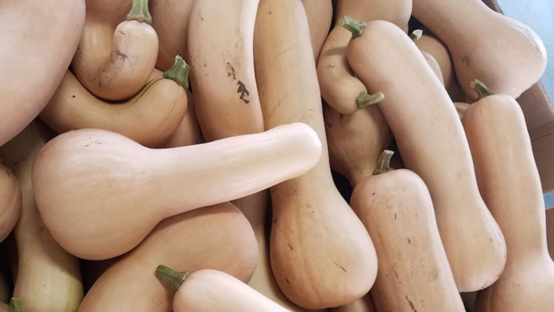 20 High-Yield Vegetables For Your Garden Worth The Effort