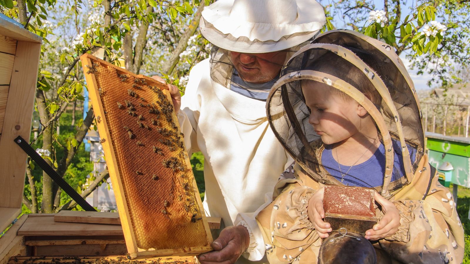 Celebrate Pollinators On World Bee Day, May 20