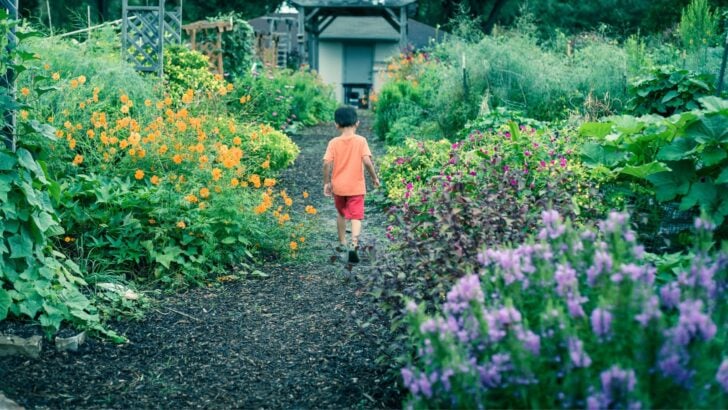 10 Beautiful Backyard Walkway Ideas