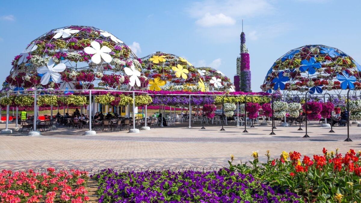 Iconic Flower Fields Worthy Of Your Bucket List