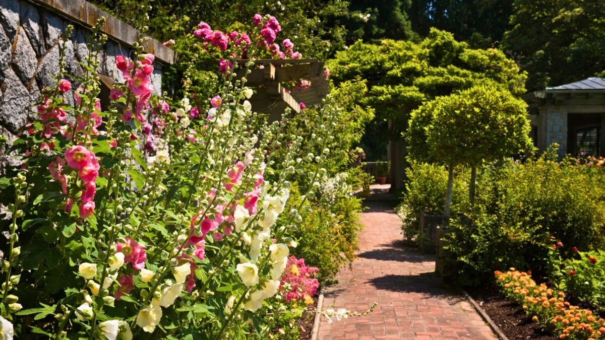 10 Beautiful Backyard Walkway Ideas