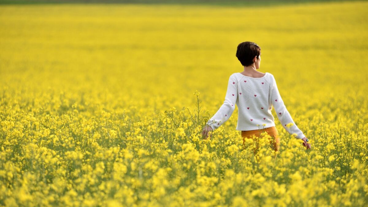 17 Must-See Stunning Flower Fields Worthy Of Your Bucket List