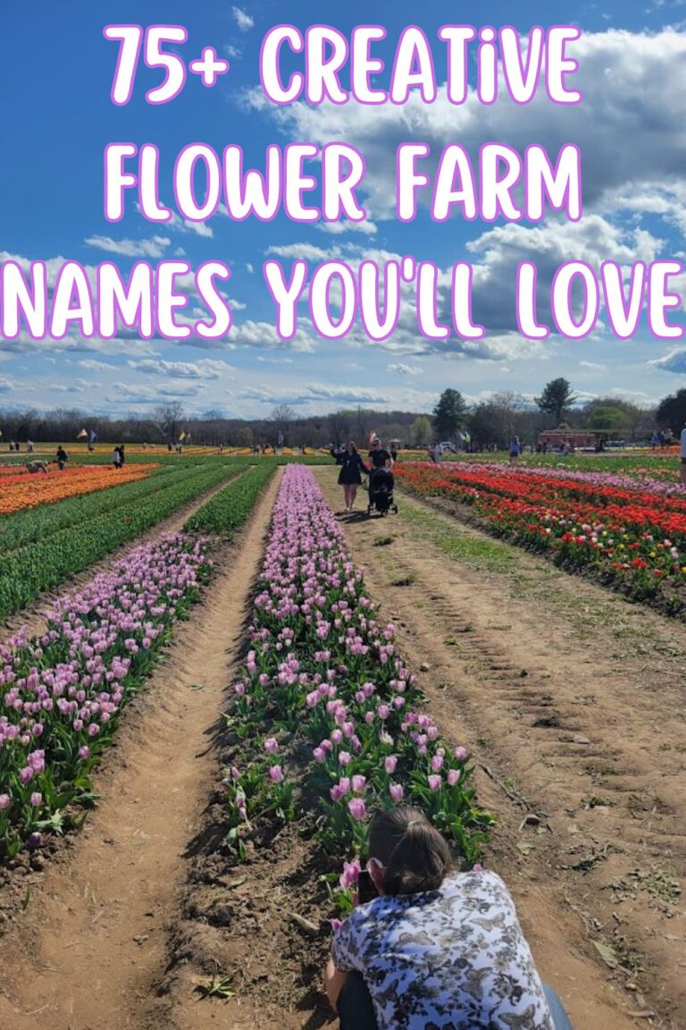 75+ Creative Flower Farm Names You'll Love