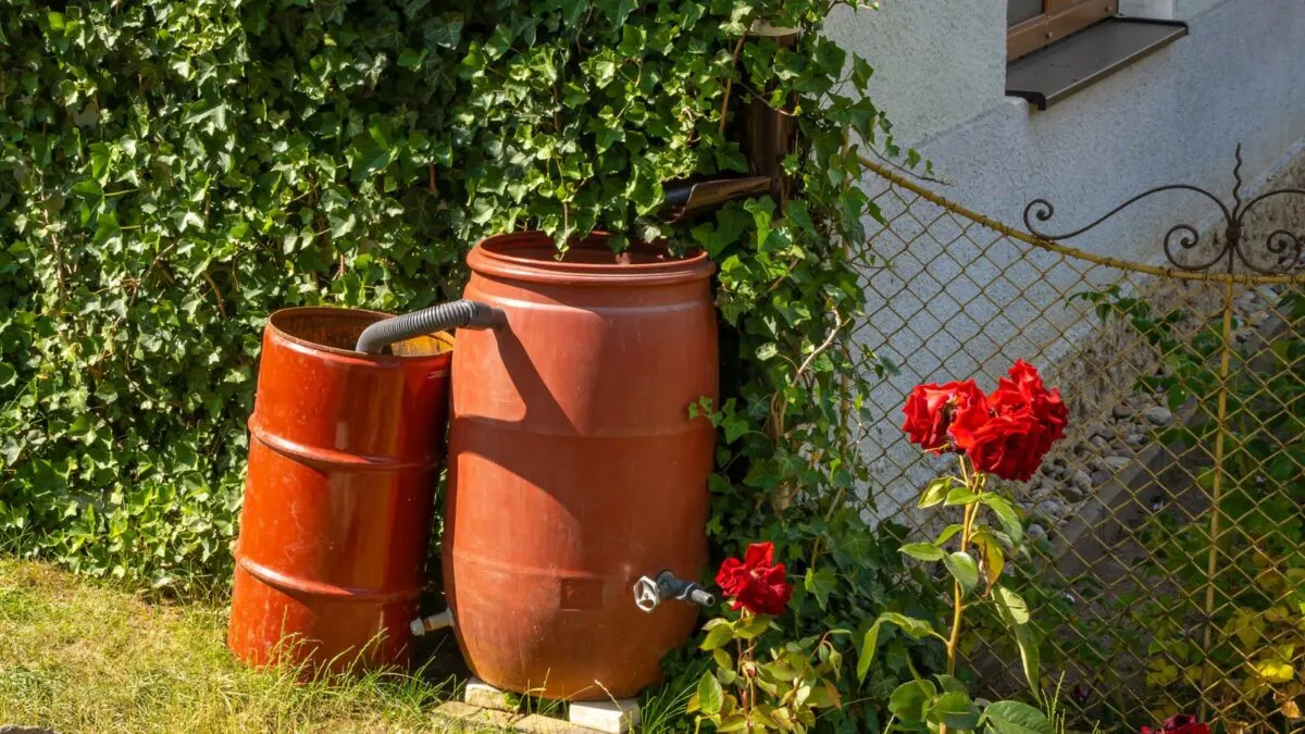 11 Best Garden Hacks Every Frugal Gardener Should Know