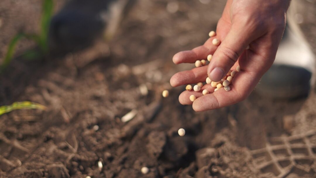 7 Steps To Properly Prepare Soil For Planting