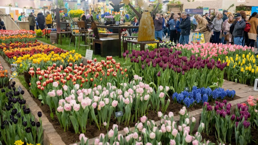 2025 Spring Flower And Garden Festivals To Check Out For A Blooming ...