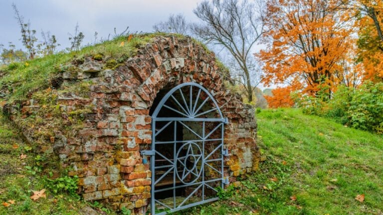 How To Build A Root Cellar For This Year's Harvest