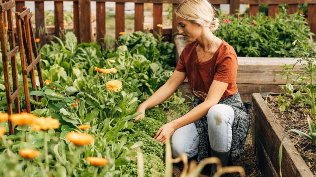 The Science-Backed Benefits Of Digging In The Dirt