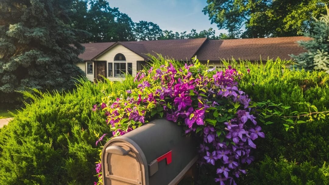 Give The Mailbox A Pop Of Color This Year With These 19 Pretty Flower ...