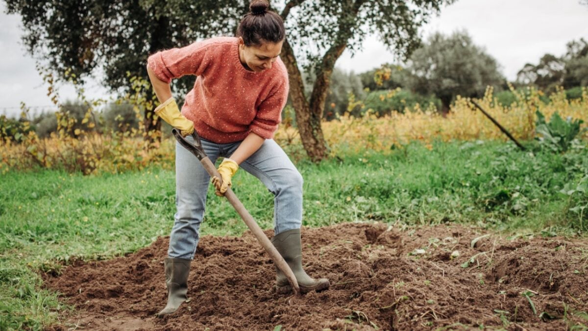 20 Things You’re Not Allowed To Do In Your Backyard Anymore