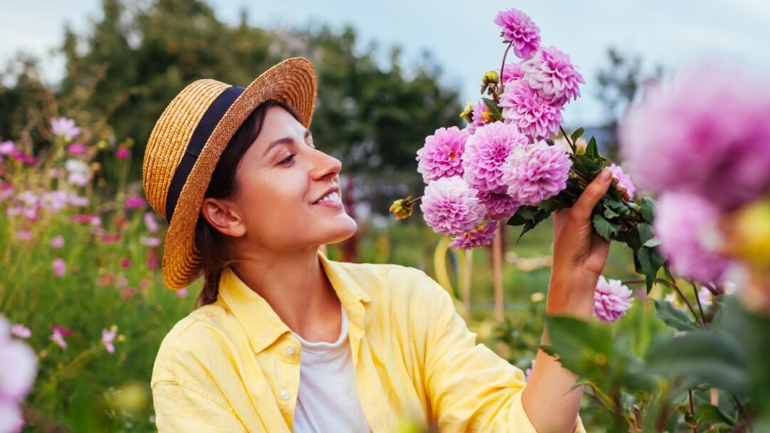 6 Methods To Dry Flowers Like A Pro