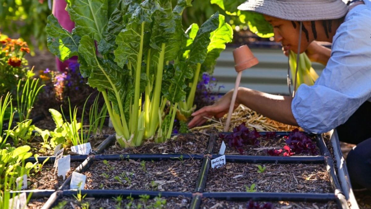 How To Turn Small Spaces Into Thriving Gardens