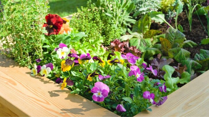 21 Simple Gardening Ideas For A Beautiful Space That Takes Care Of Itself
