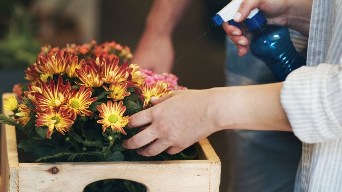 9 Natural Pest Control Methods For Backyard Gardens That Actually Work
