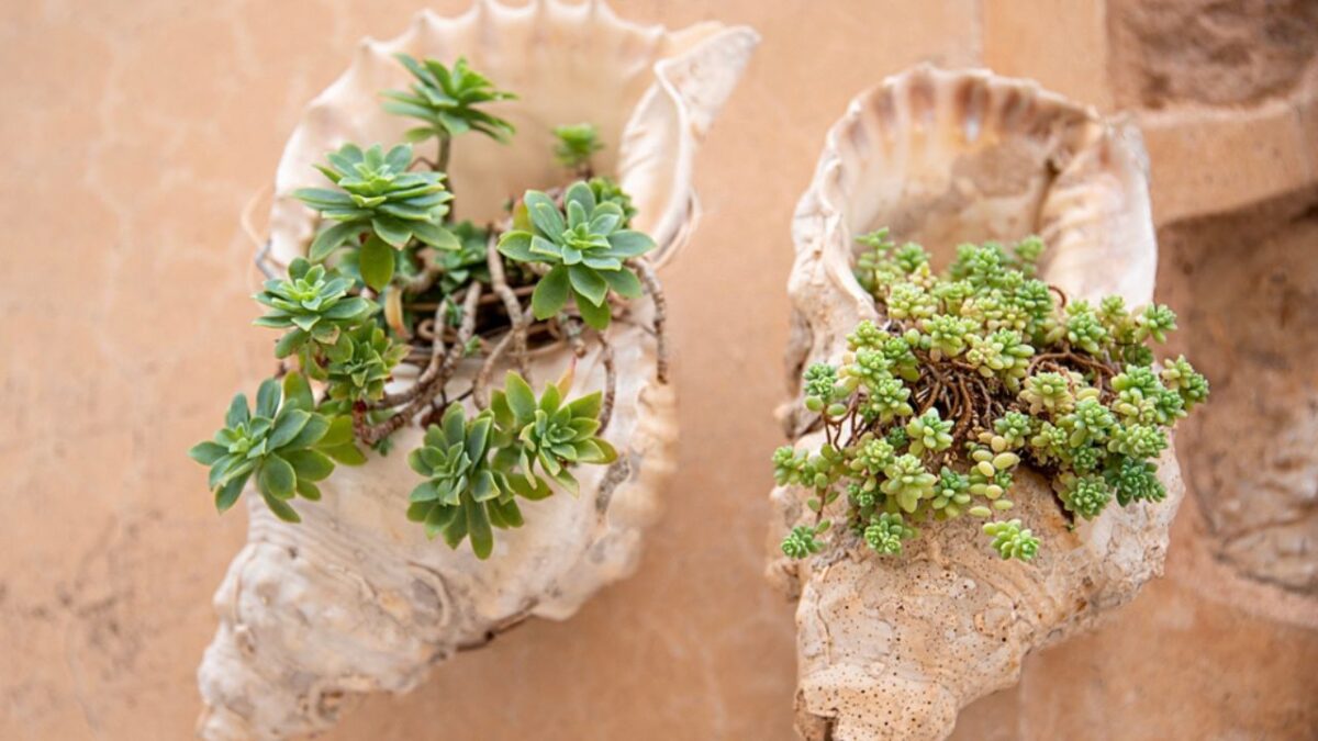 12 Ways To Bring A Touch Of Nature Inside This Winter