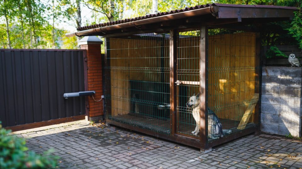 To Use A Fence Or Not: 10 Ways To Keep Your Dog In The Yard Safely