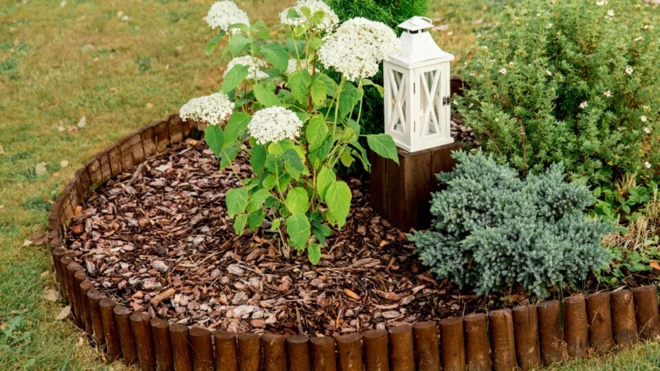 12 Easy Fixes To Declutter The Yard And Make It Pop