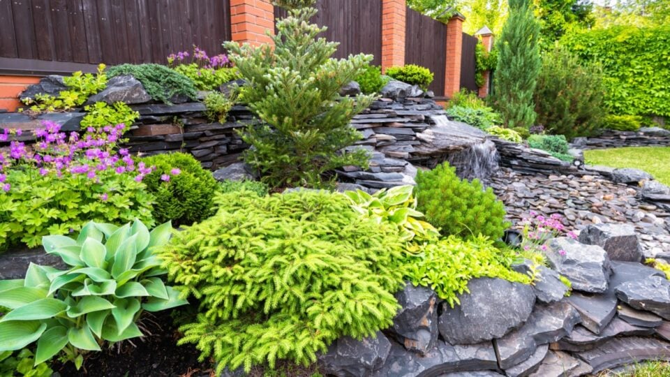 The 9 Best Landscape Design Apps For Homeowners And Garden Lovers