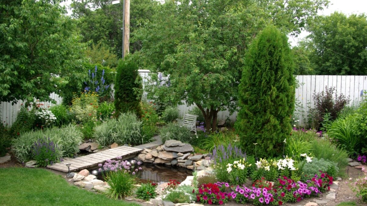 16 Plants That Look Beautiful (and Thrive) Under A Cedar Tree