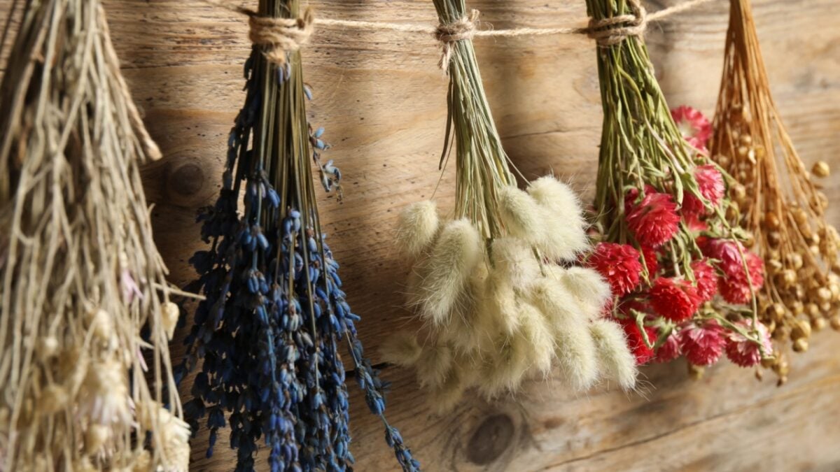 6 Methods To Dry Flowers Like A Pro