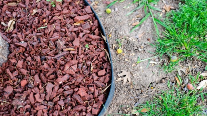 16 Types Of Yard Edging That Keep Grass Out Of Flower Beds
