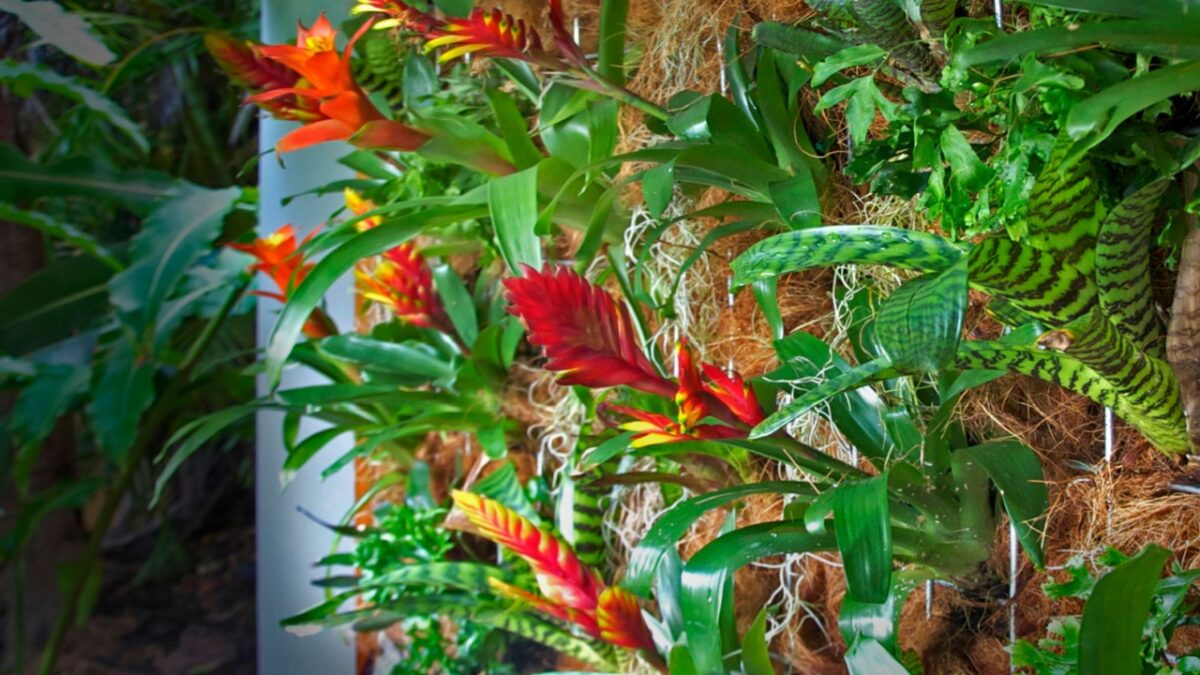 11 Plants For Building A Gorgeous Living Wall