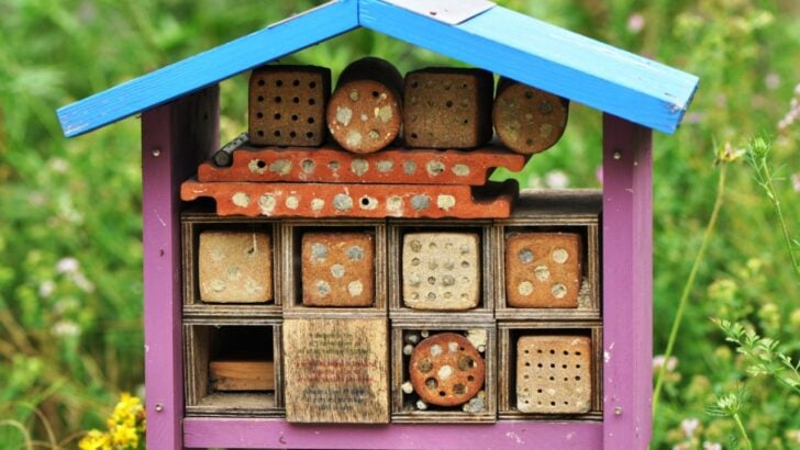 12 Tips For Building A Bee Hotels That'll Help Them Thrive