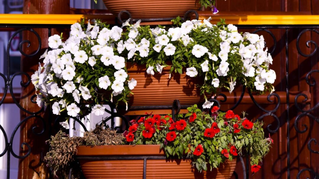 15 Clever Flower Arrangement Tips & Tricks For Stunning Displays