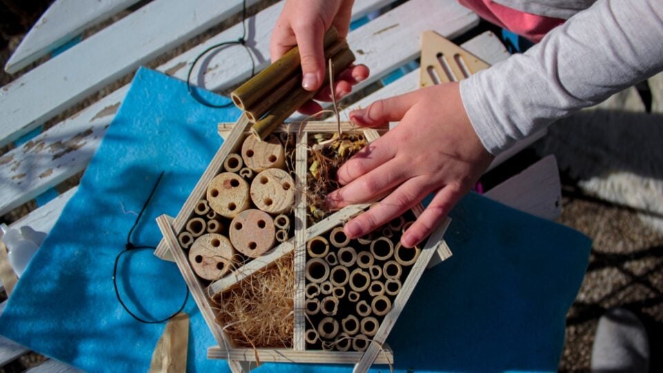 12 Tips For Building A Bee Hotels That'll Help Them Thrive