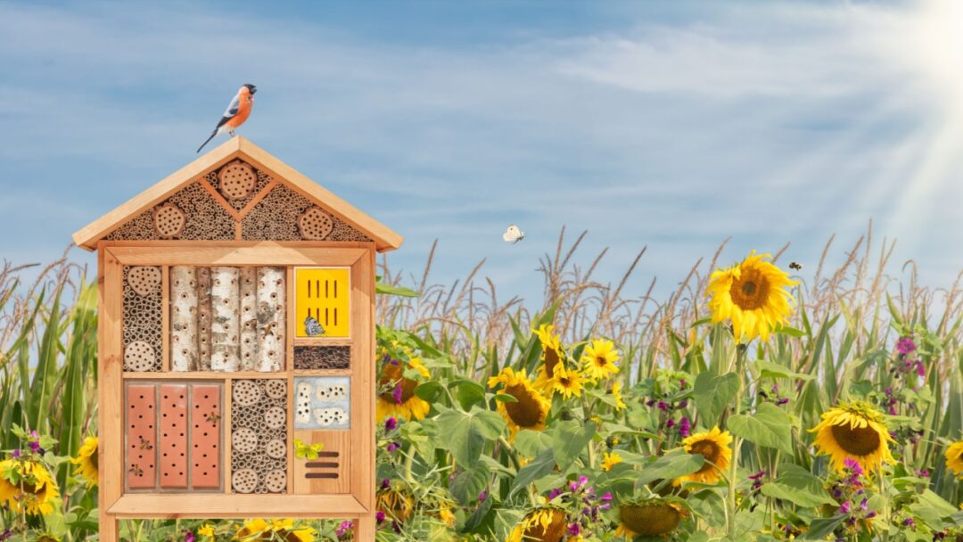 12 Tips For Building A Bee Hotels That'll Help Them Thrive