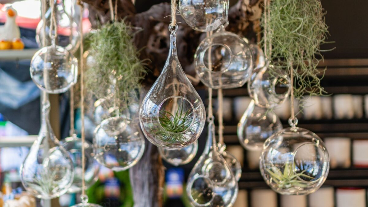 15 Creative And Fun DIY Terrariums