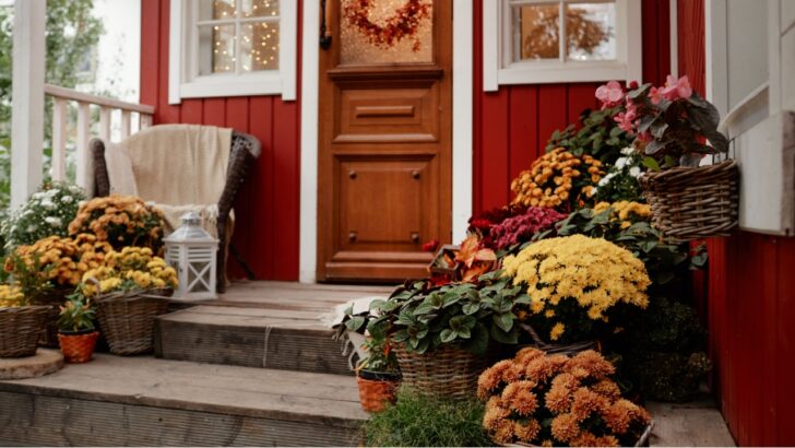 18 Top Fall Flowers For Containers To Brighten Your Porch