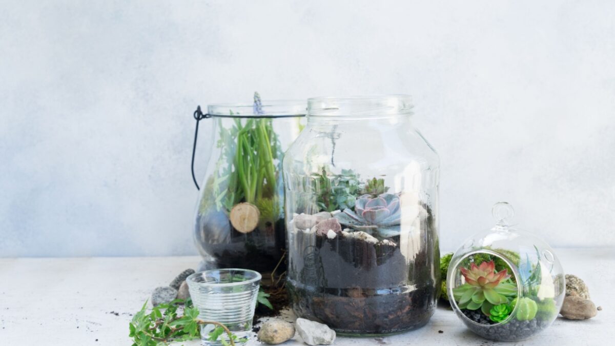 15 Creative And Fun DIY Terrariums