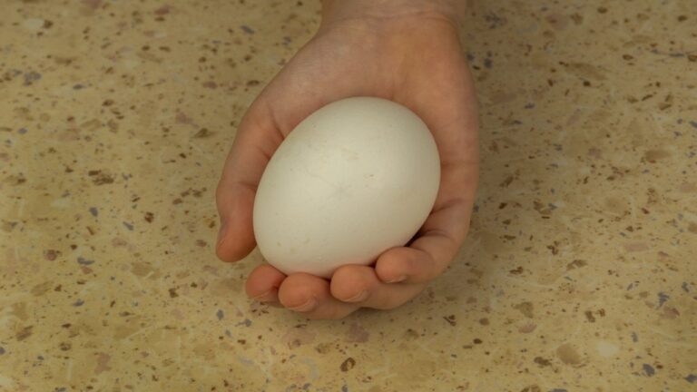 The Surprising Cost Of Eggs By Decade: Starting In 1980