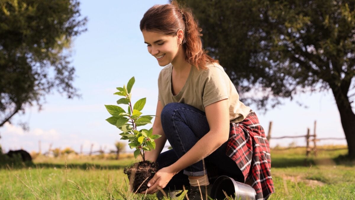 What Is Your Birth Month Tree? And Should You Plant It?