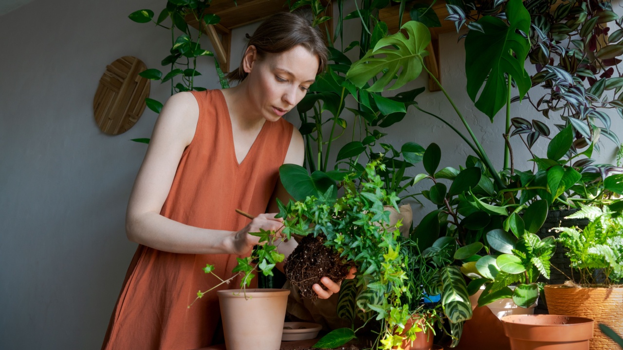 The 5 Best Ways To Refresh The Air After Frigid Indoor Days And Viruses