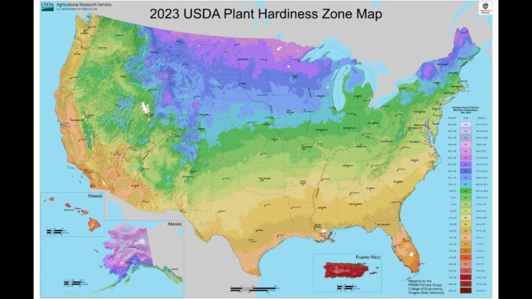 How To Determine Your USDA Plant Hardiness Zone