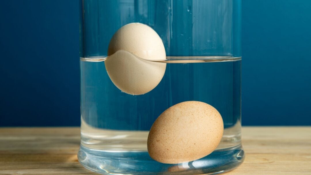 15 Signs Your Food Has Gone Bad And Needs To Be Tossed Immediately