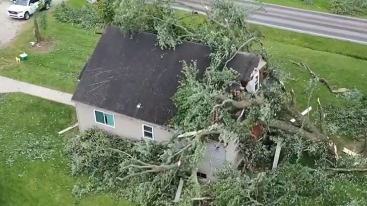 A Tornado Sent Trees Into A Jefferson County Home After The Owner Took ...